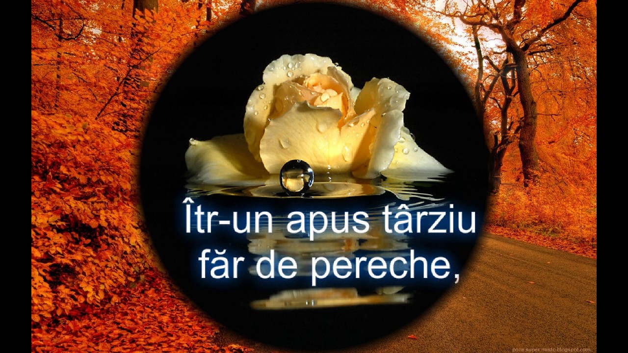 Pagini albe - YouTube