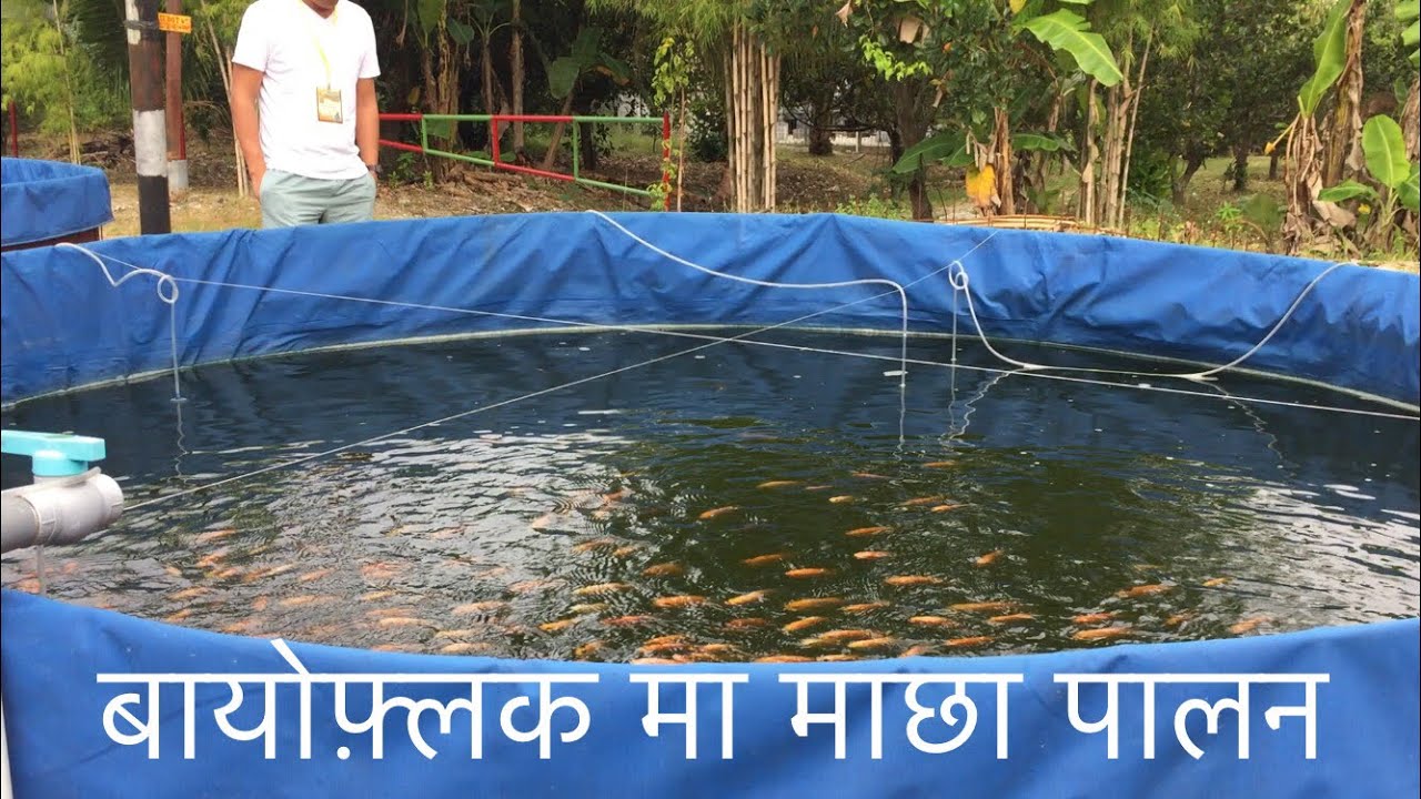 Indonesian biofloc farm visit by Nepali biofloc team. - YouTube