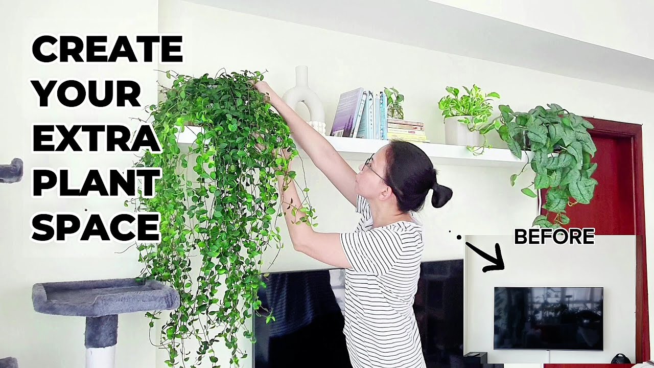Create Extra Plant Spaces | Plant Shelf Extension | Plant Styling - YouTube