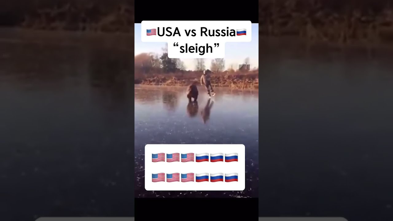 AMERICAN BEAR VS RUSSIAN MEME 😂 #shorts - YouTube
