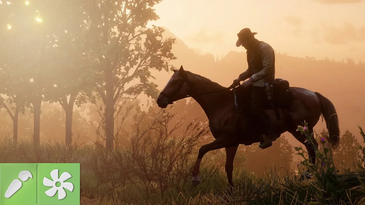 Red Dead Redemption 2 - Cinematography - YouTube