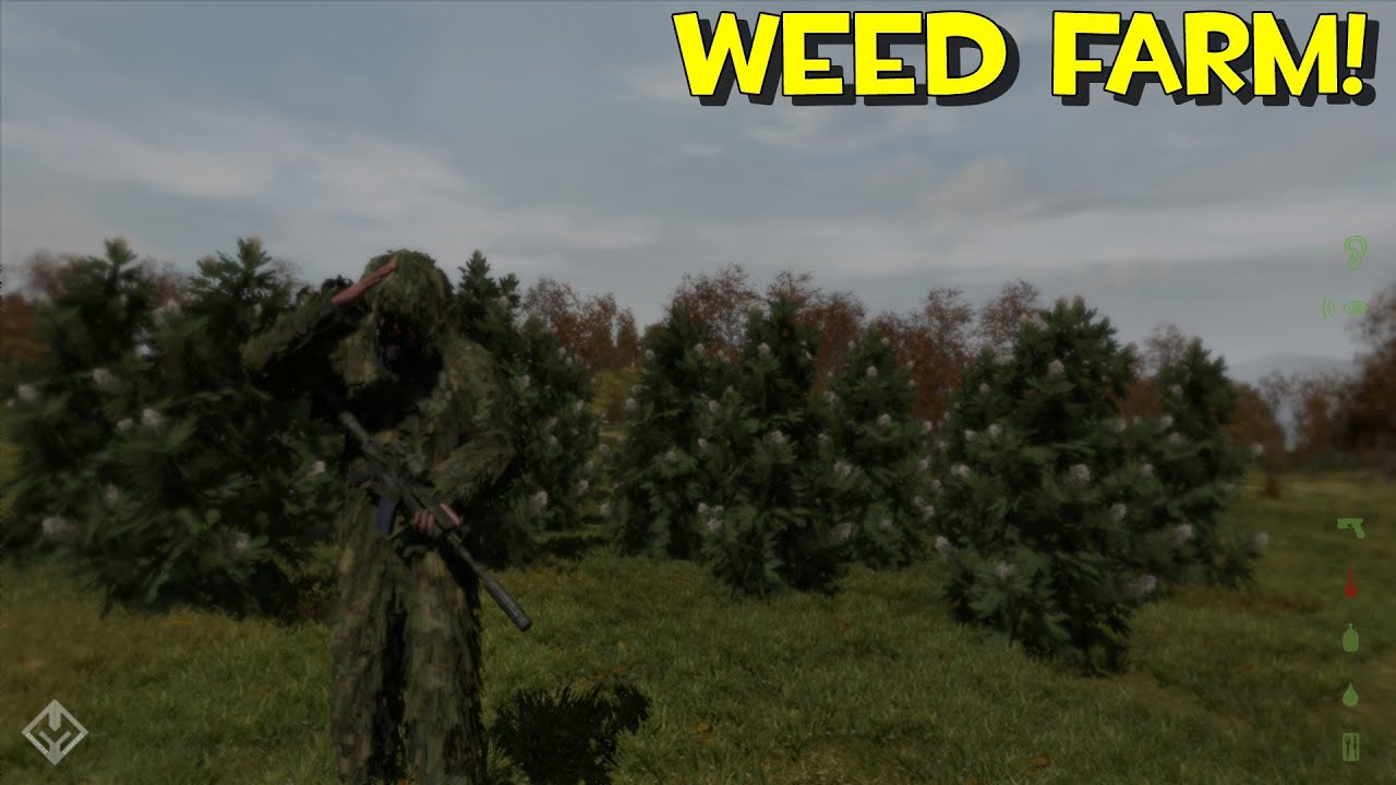 WEED FARM! - Arma 2: DayZ Mod #7 - YouTube