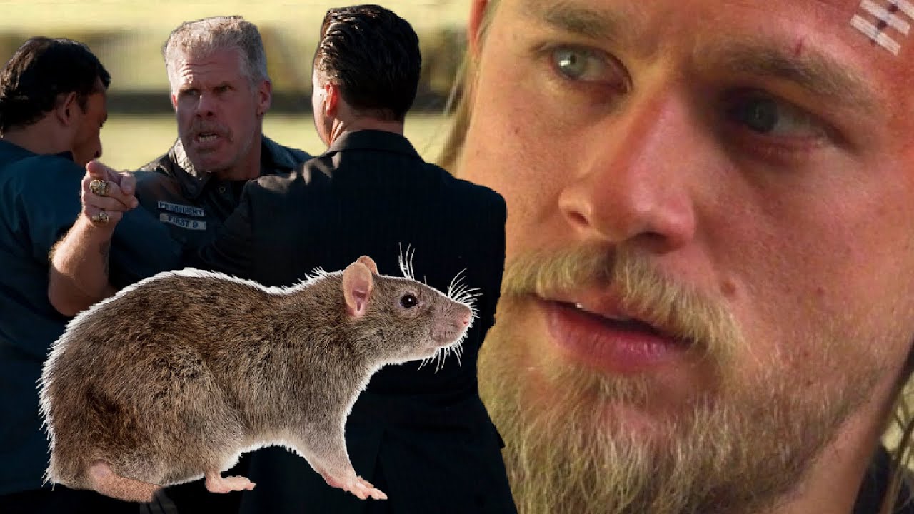 WHAT IF JAX ACTUALLY TURNED RAT? SONS OF ANARCHY SEASON 3 THEORY - YouTube