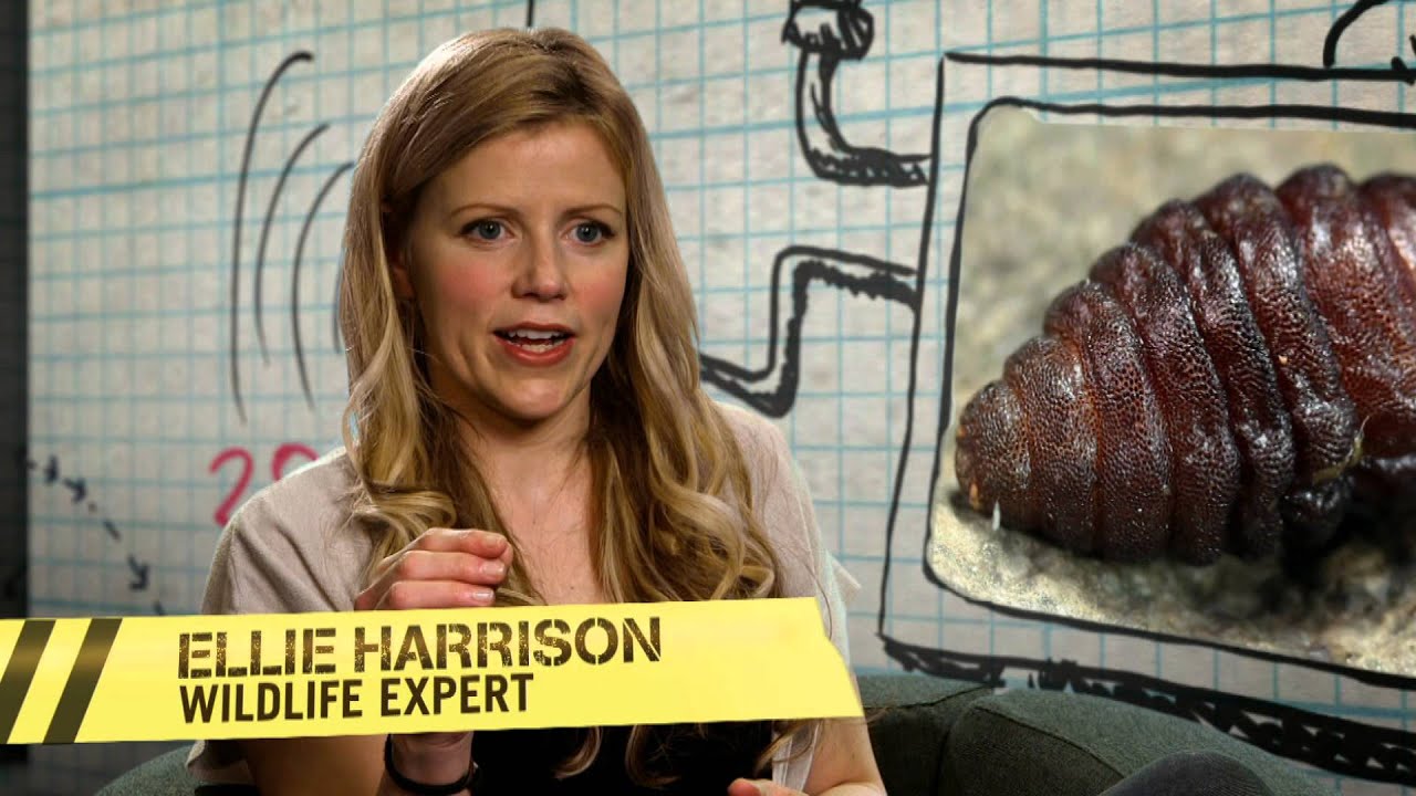 Human Lab Rats - YouTube