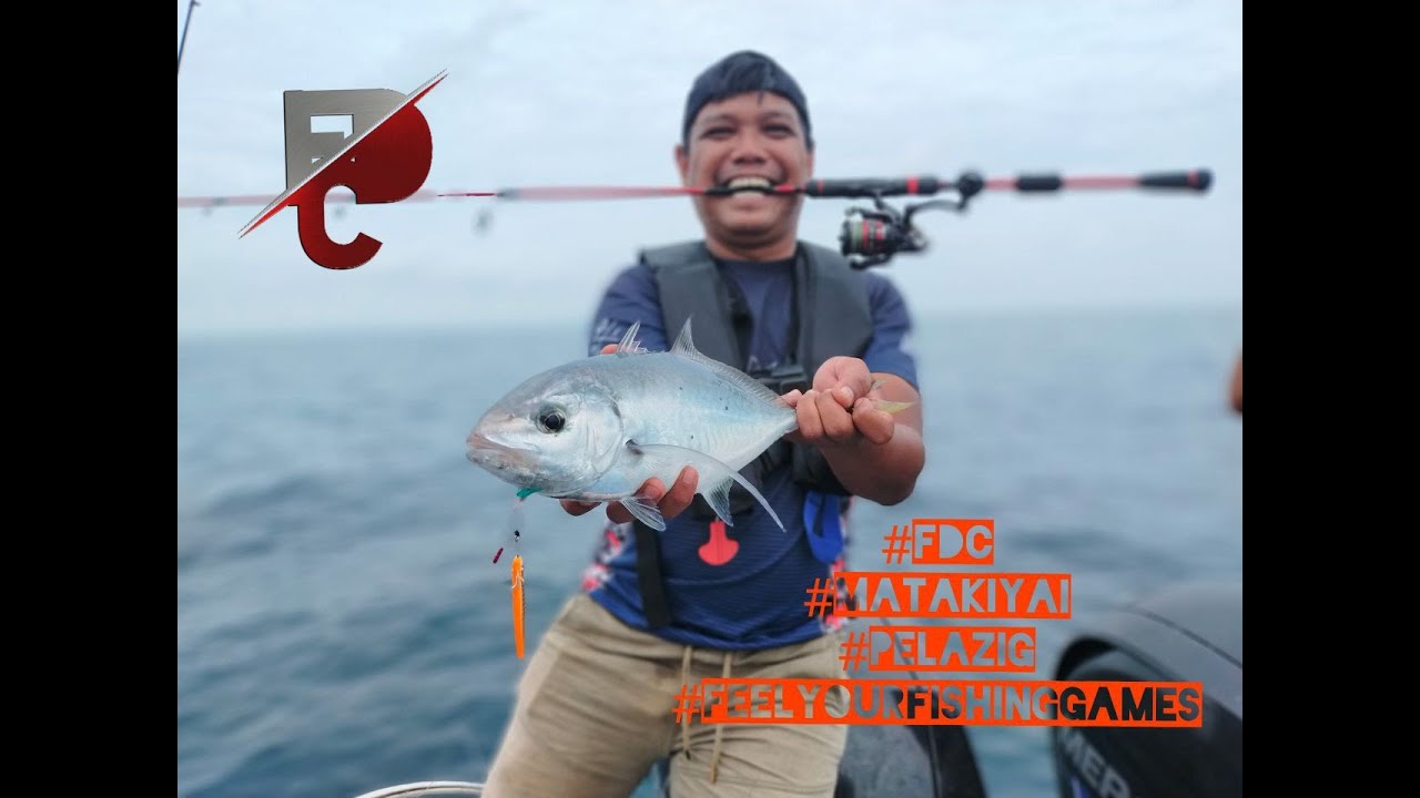 teknik light jigging - tarikan cobia pedih rasa bahu #FDC #Mersing # ...