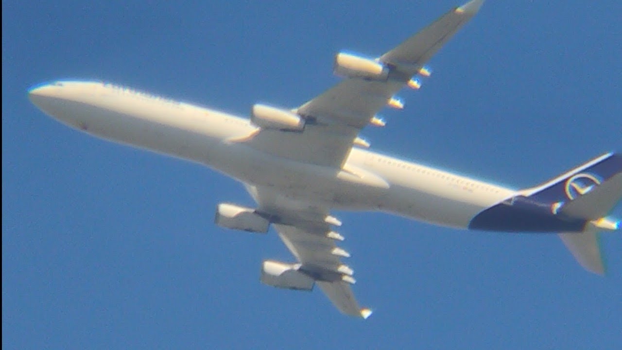 🇩🇪🇩🇪🇩🇪Lufthansa Airbus A340-313 New Livery D-AIGL LH443 DTW-FRA🇩🇪🇩🇪🇩🇪 ...