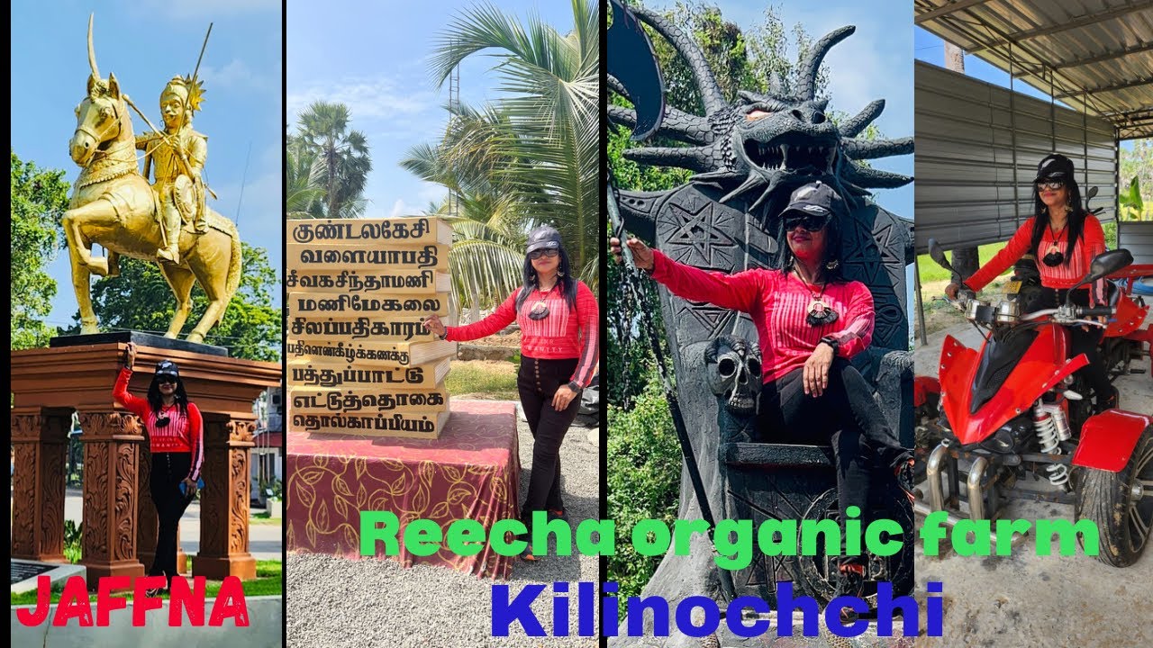 Reecha Organic Farm PART-1 Kilinochchi, Jaffna public library,museum,anbesivamarakattalai etc ...