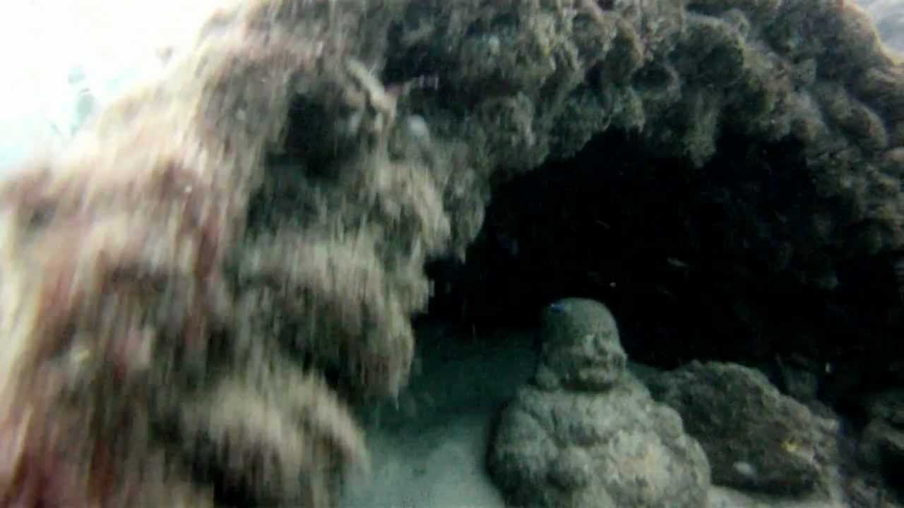 Scuba Diving the Tweed River - YouTube
