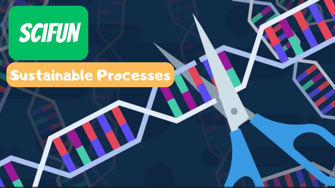 SciFun - Sustainable Processes - YouTube