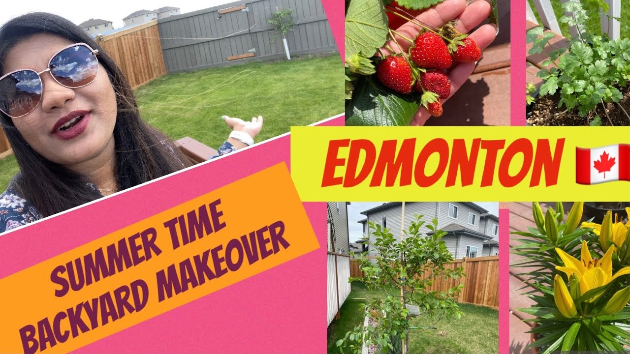 Summer Time | Trees and Plants in my Backyard | Edmonton Alberta Canada ...
