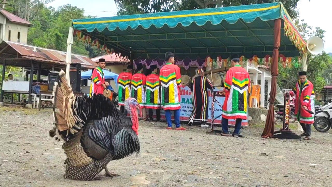 Gordang Sambilan Namora Raya Roburan Dolok Di Rumah Makan Incor Laru ...