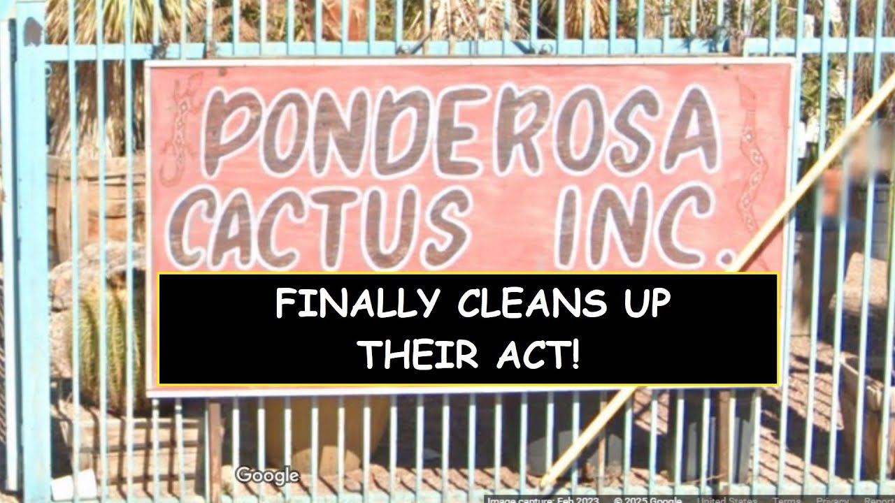 Ponderosa Cactus Inc. FINALLY Cleans Up Their Act! [Life In Reality ...
