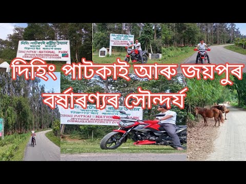 Dihing Patkai national park।। Tourist attractions।। Natural view # ...