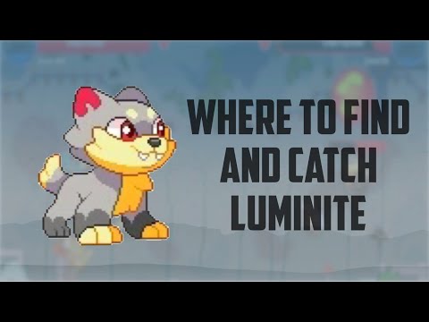 Where to FIND and CATCH the pet LUMINITE in Prodigy