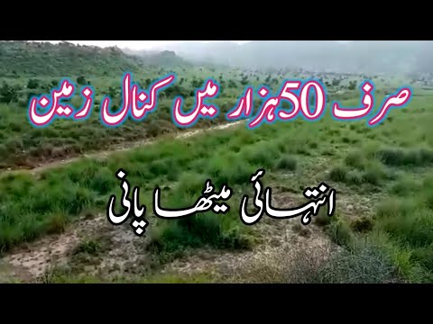50 Hzar Per Canal Land For Sale in Punjab Pakistan #landforsale - Azhar ...