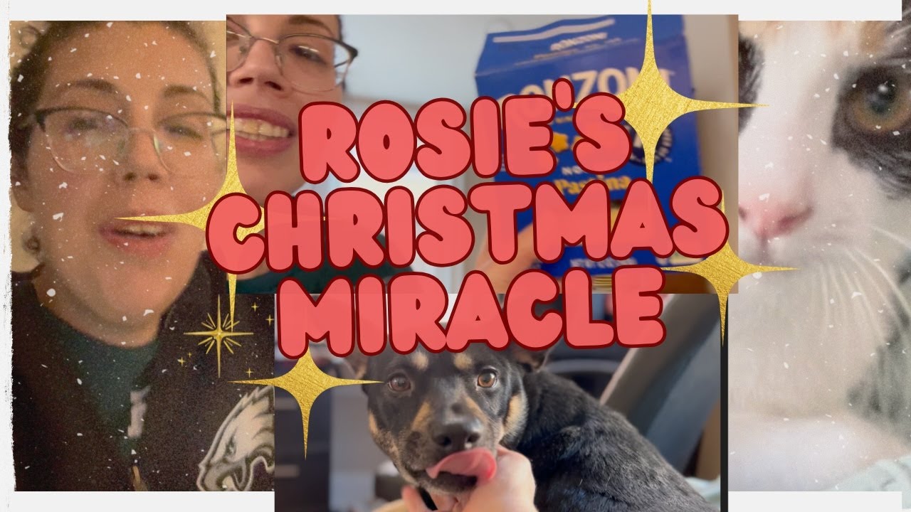 Rosie's Christmas Miracle (cozy vlog) - YouTube