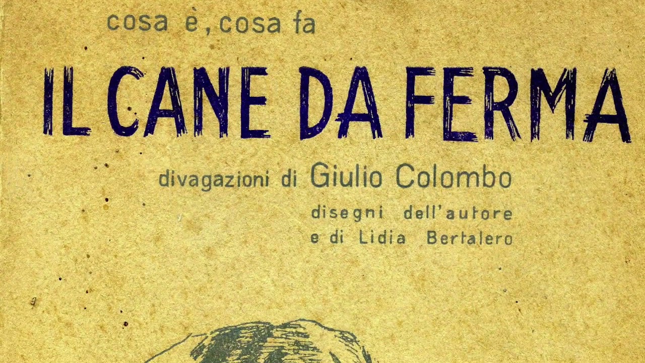 Letteratura Venatoria: Giulio Colombo - YouTube