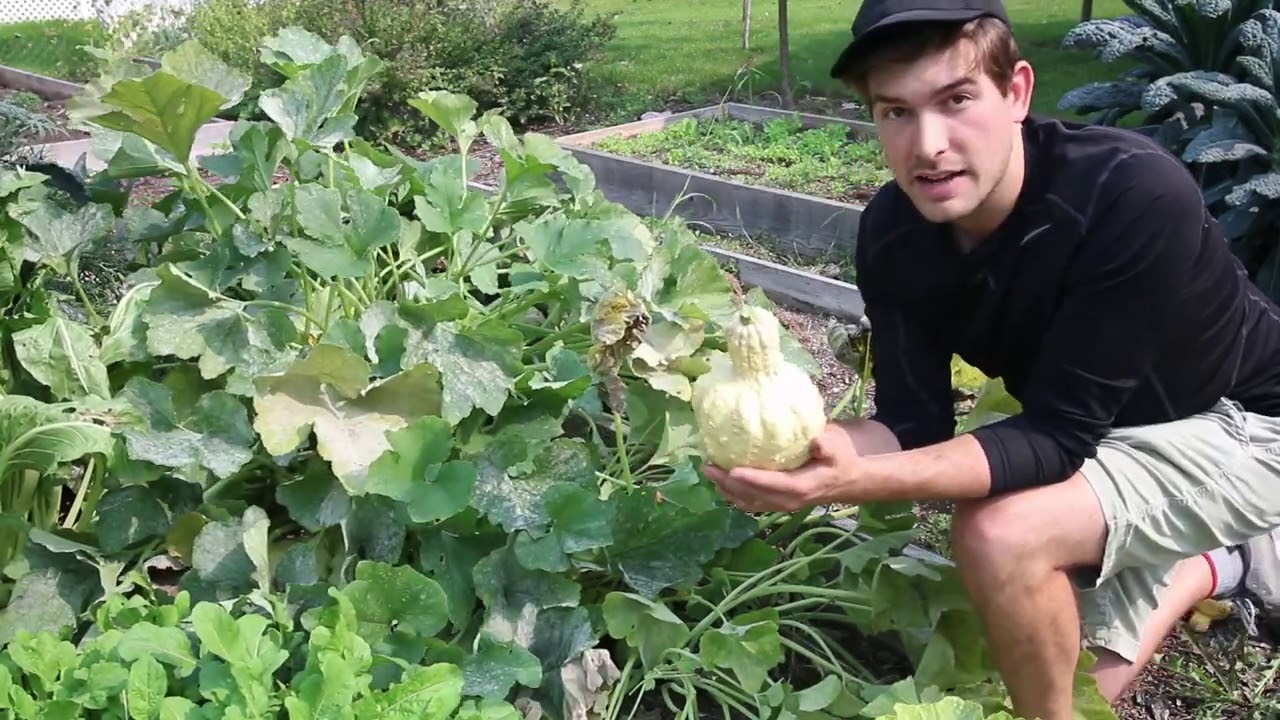 I Need Your Help Solving This Garden Mystery! - YouTube