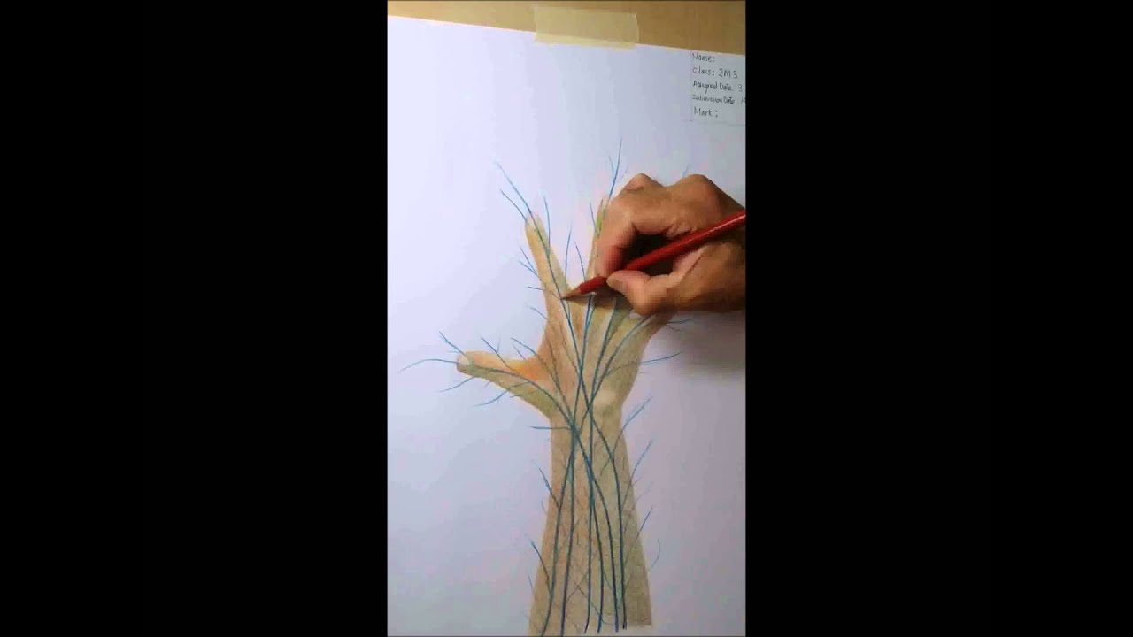 Final Layout of Developmental Drawing - YouTube