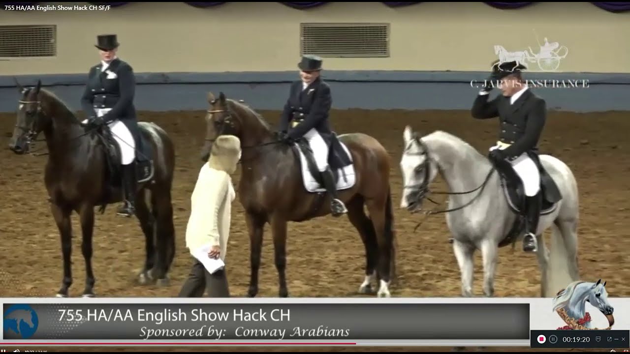 2020 Youth & Mid Summer Horse Show - HA English Show Hack Open - YouTube