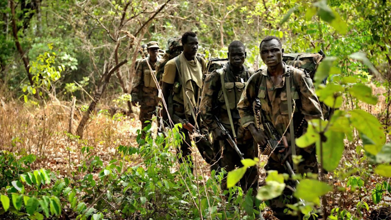 BURUNDI: RED TABARA BYAYIKOMERANYE INZARA IGIYE KUBICIRA MU ISHYAMBA ...
