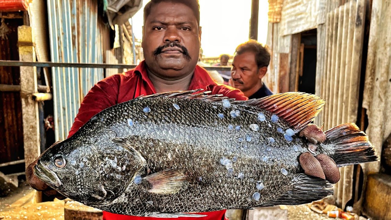KASIMEDU 🔥 SPEED SELVAM | BIG SIZE SEA BOSS FISH CUTTING | 4K VIDEO ...