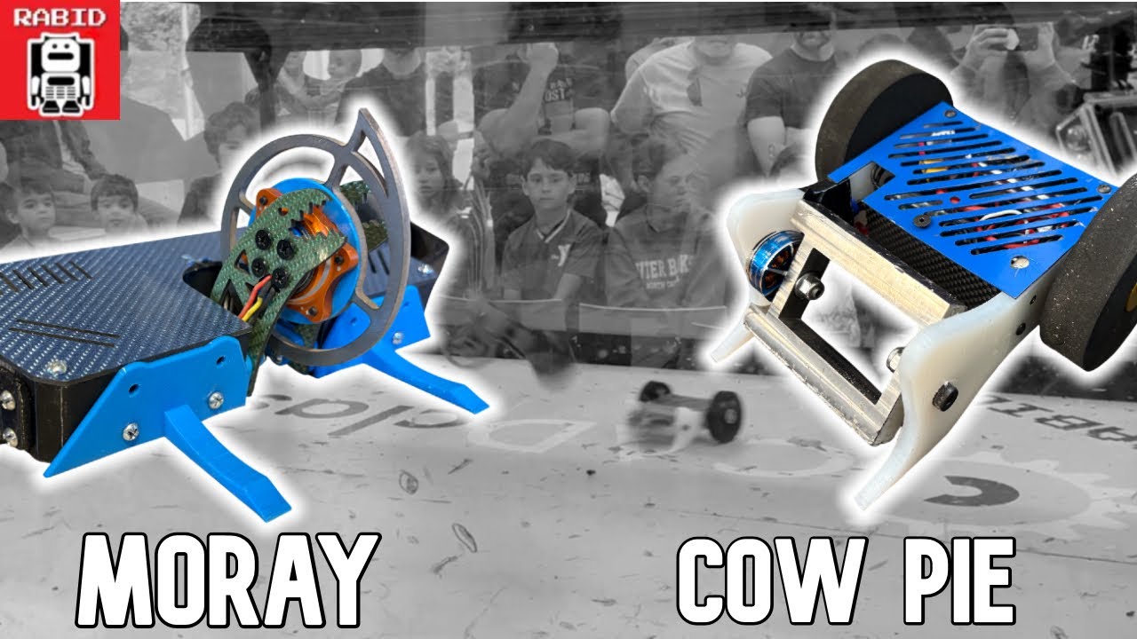 Moray vs. Cow Pie | RABID Mayday Mayhem - YouTube