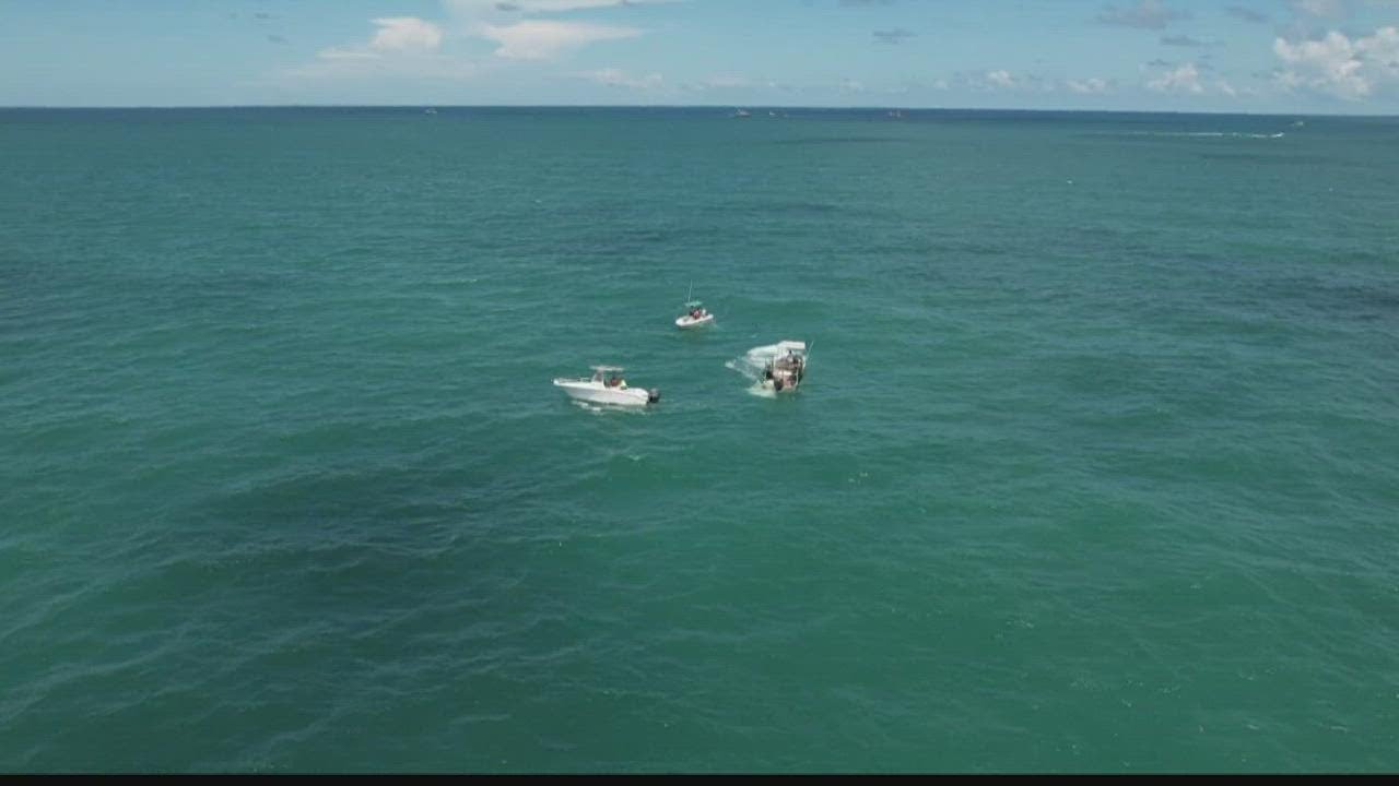 Couple's boat starts to sink and they survive by swimming 3/4 mile to ...
