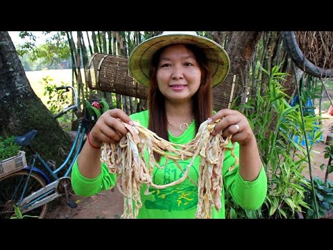 Have you ever eat Deep Fried crispy chicken Organs before? - YouTube