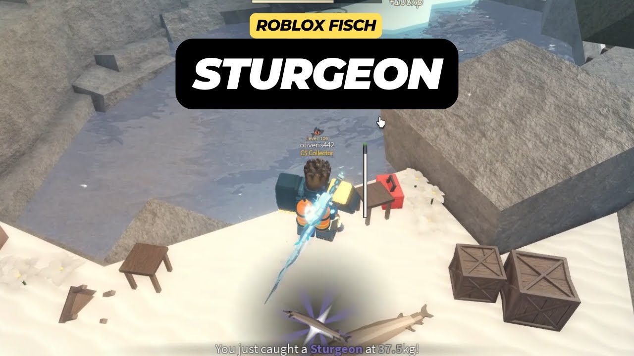 How to Get Sturgeon Fish in Roblox Fisch - YouTube