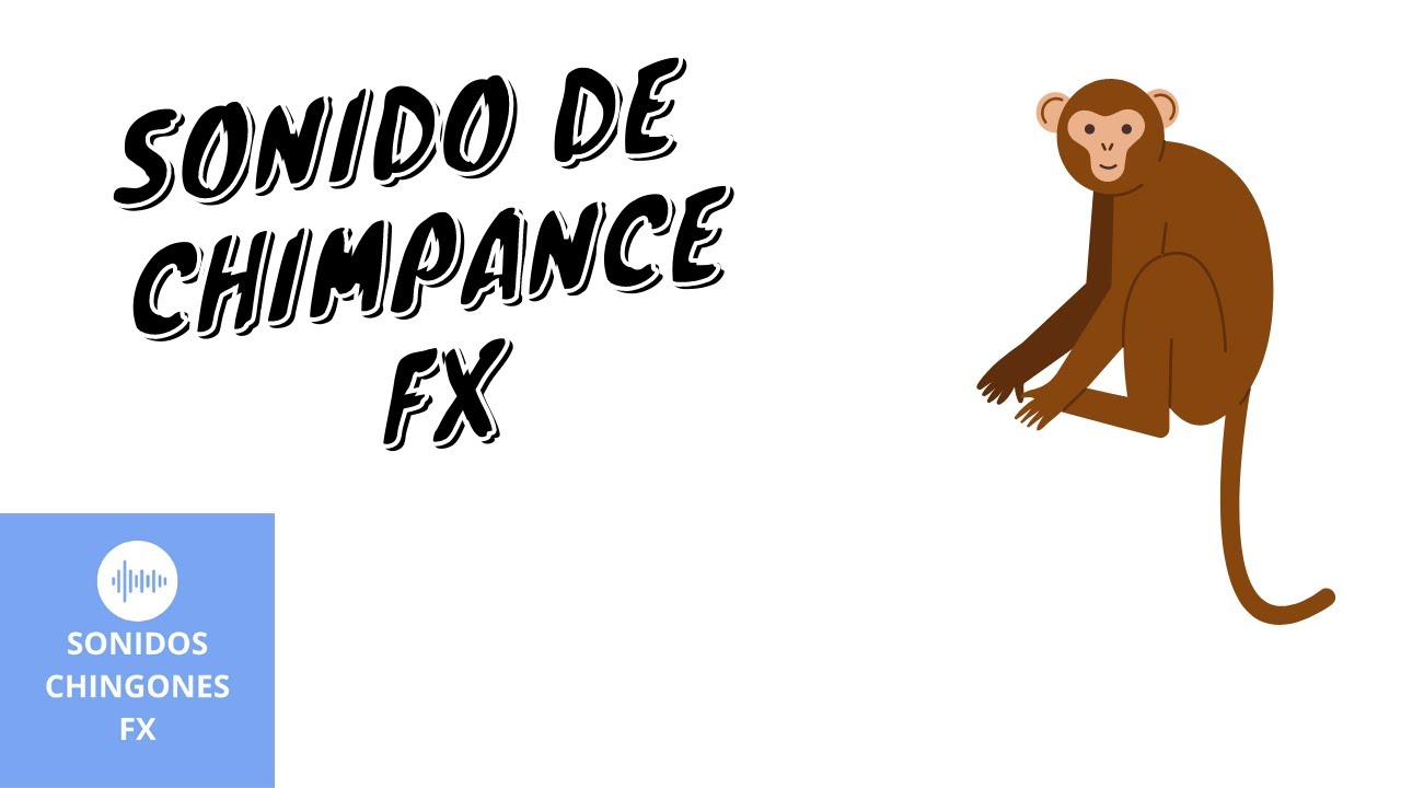 Sonido de Chango 2 - efecto de sonido para videos - YouTube