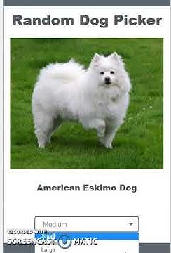 Code org Create PT Sample 3 Video - YouTube