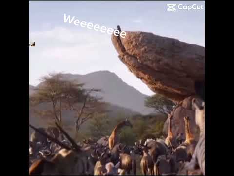 Weeeeeee! - YouTube