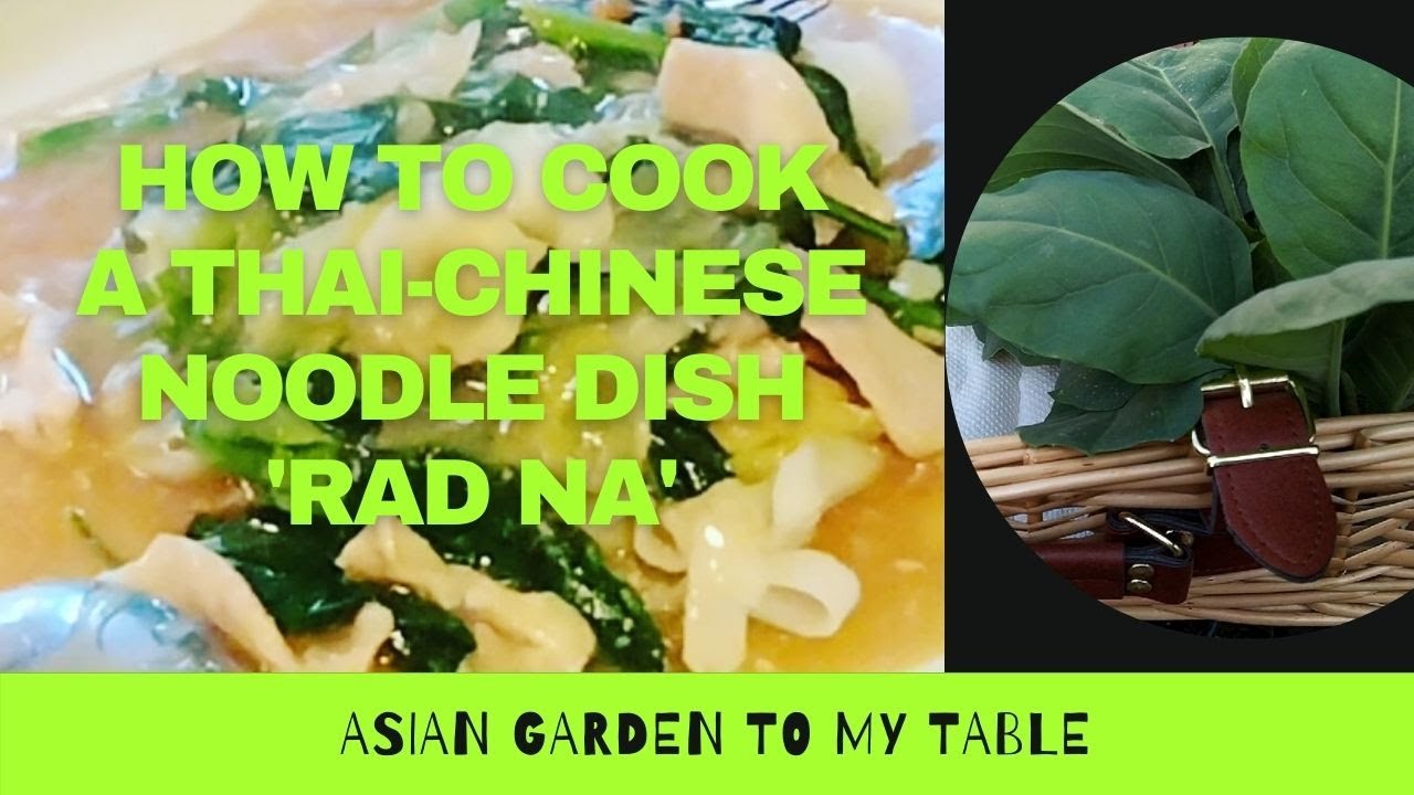 How to cook a Thai-Chinese noodle dish 'Rad Na' | Asian garden to my ...