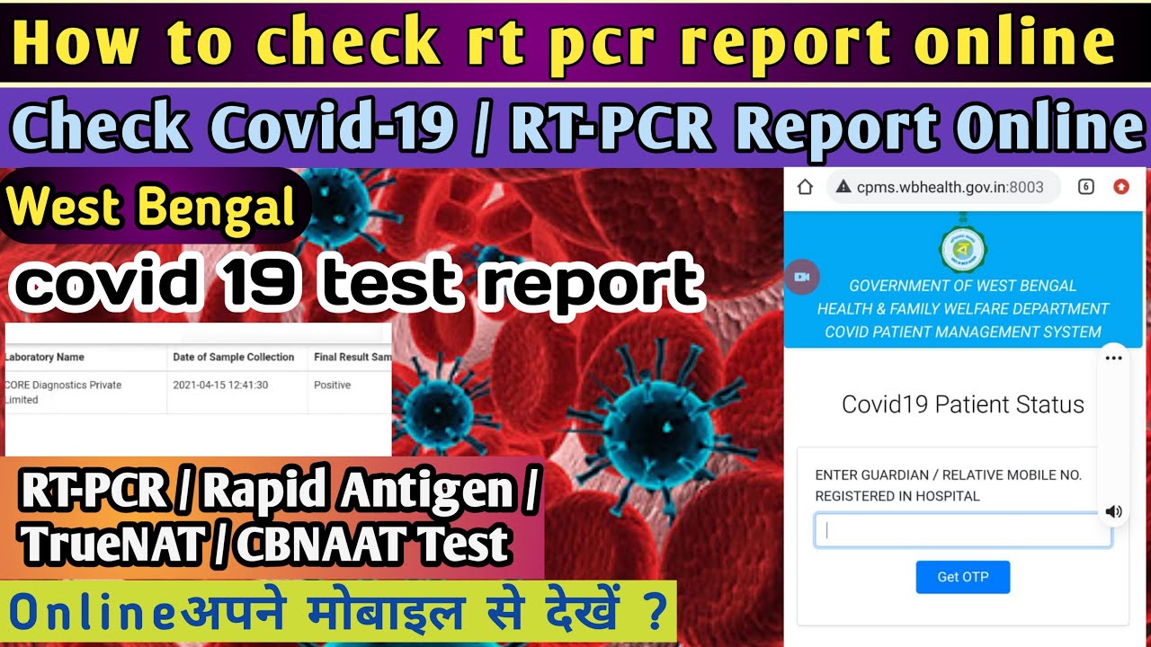 How to check rt pcr report online in West Bengal | Check Covid 19 test ...