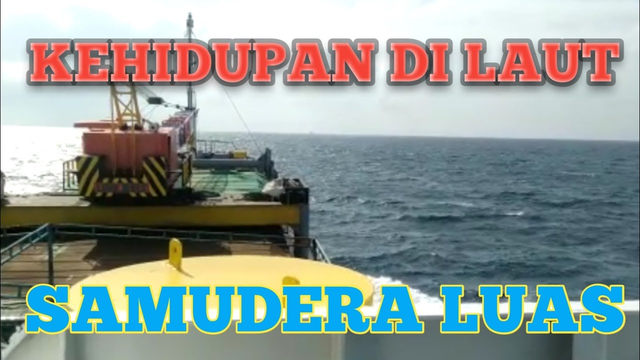 Kehidupan Di Laut || Keindahan Samudera Luas - YouTube