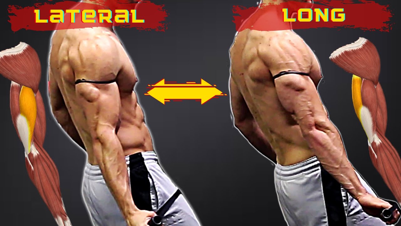 Use This Triceps Long & Lateral Head Alternating Combo Exercise for ...