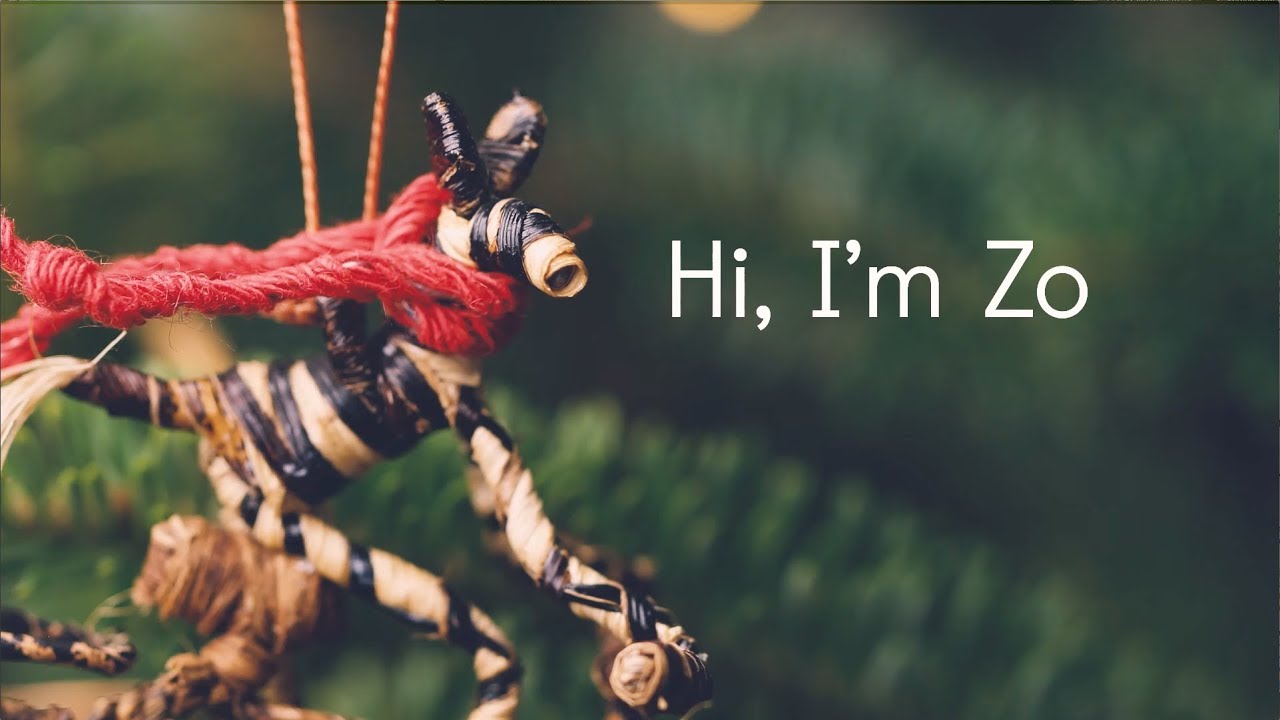 Zo the Zebra Gathers Joy From The World - YouTube