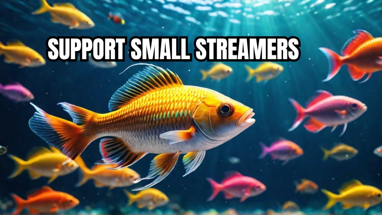Why Small Streamers Matter - YouTube