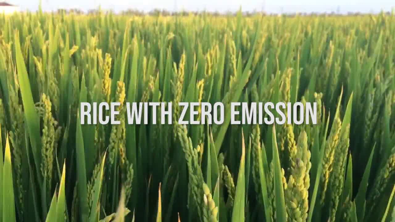 Straw Innovations Ltd - YouTube