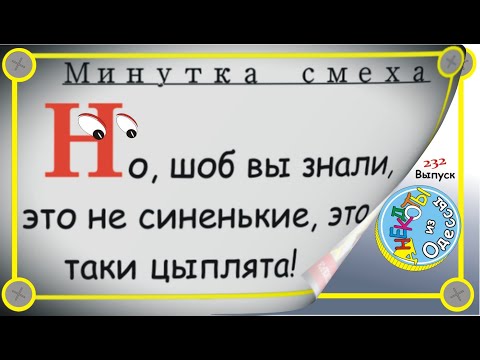Минутка смеха Отборные одесские анекдоты Выпуск 232