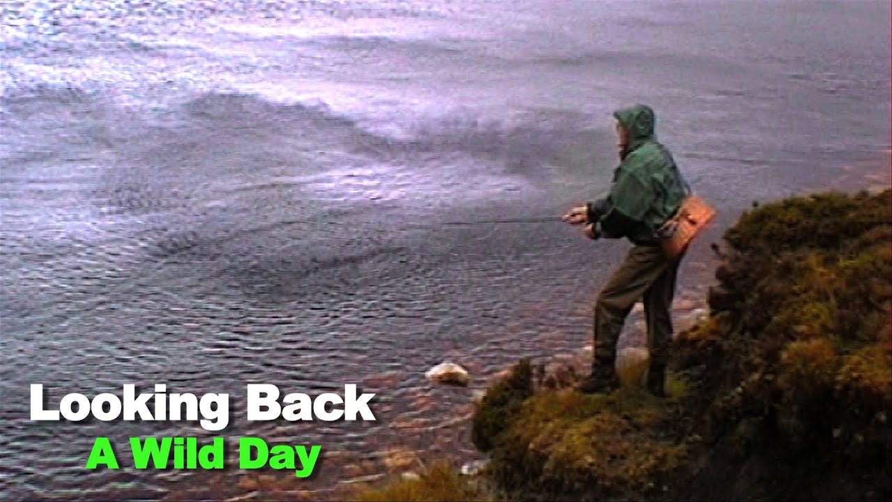 A Wild Day - YouTube