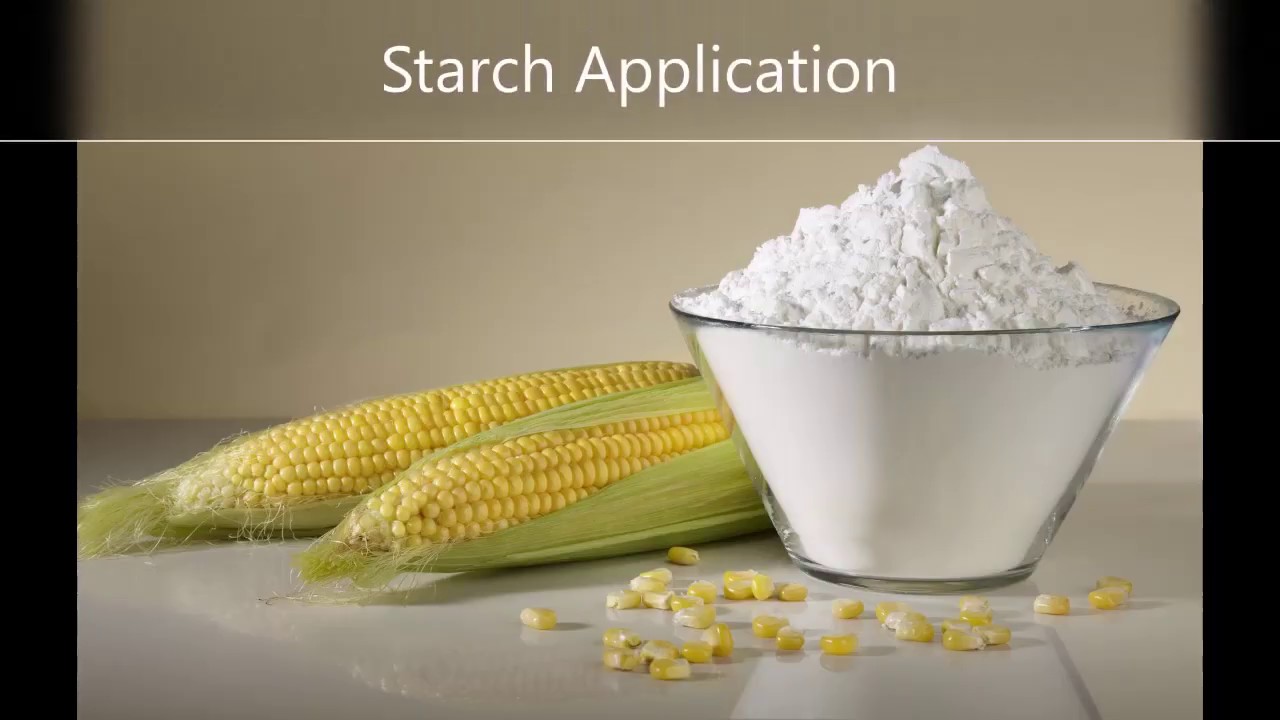 Filter Press for Starch, Maize , glucose, fiber, gluten application - YouTube