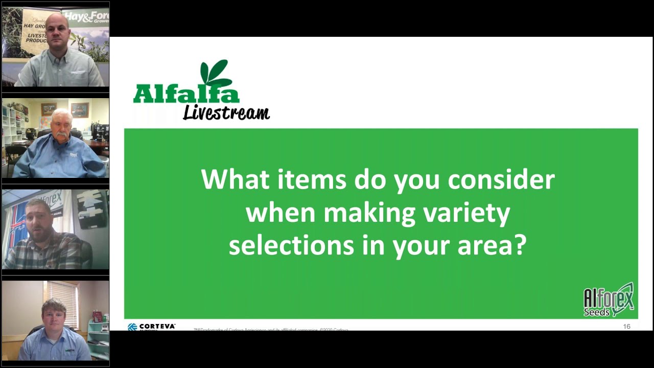 Alfalfa Livestream Part 1: How to Pick 'Em – Variety Selection ...