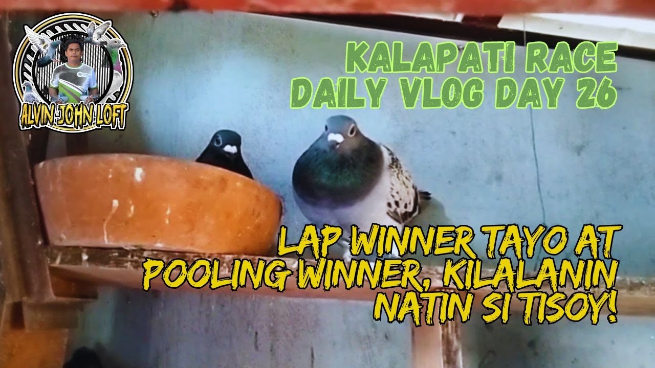 Kalapati race Daily Vlog Day 26- Lap Winner Tayo at pooling winner 🏆 ...