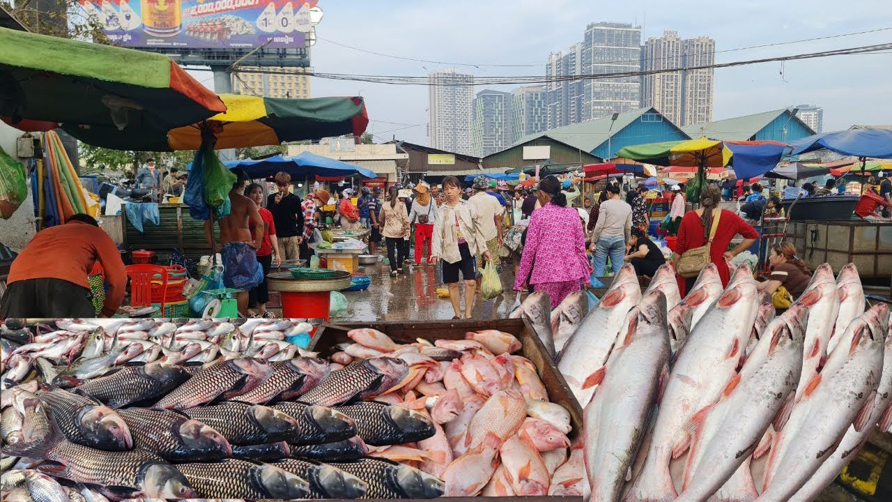 This Is The Only Biggest, Liveliest and Crowded Fish Market in ...