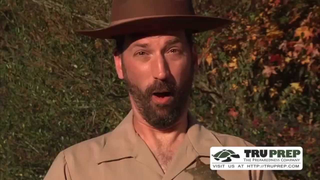 The Zombies Are Coming! - YouTube