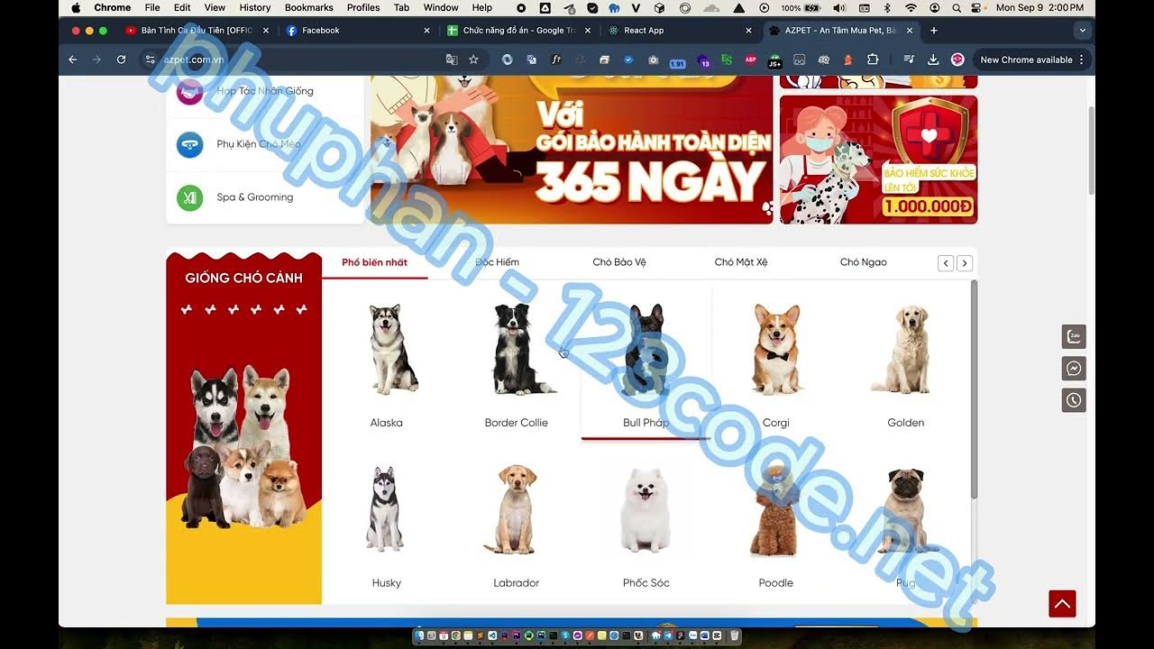 [Đồ án 2024] P2 Nodejs express reactjs mongoDB - Pet manage - 123code.net - YouTube