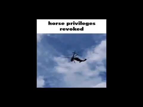 Horse privileges revoked 😤 - YouTube