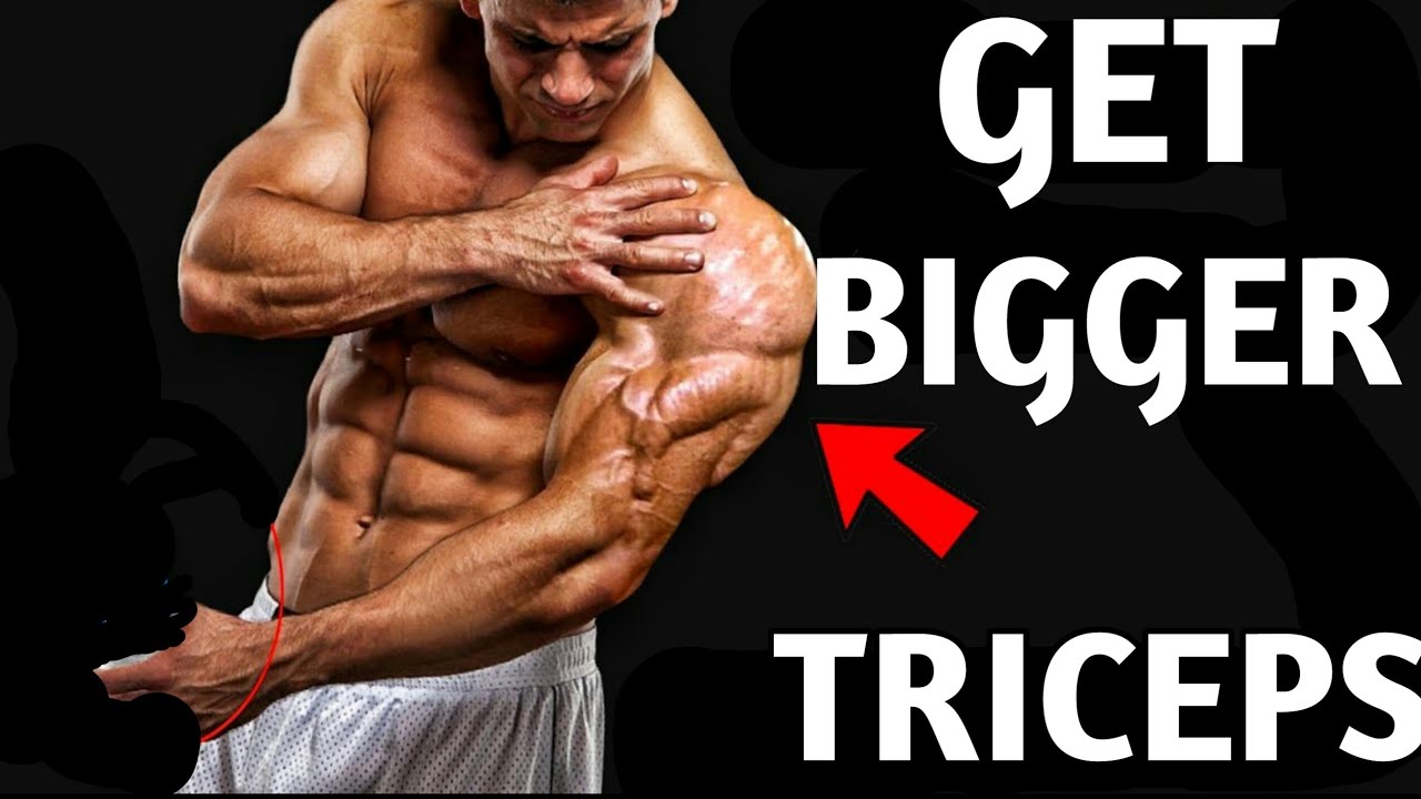 Get Bigger Triceps | Triceps workout | how to get big triceps - YouTube